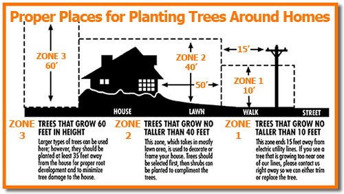 Tree Planting Tpa Spacing Chart